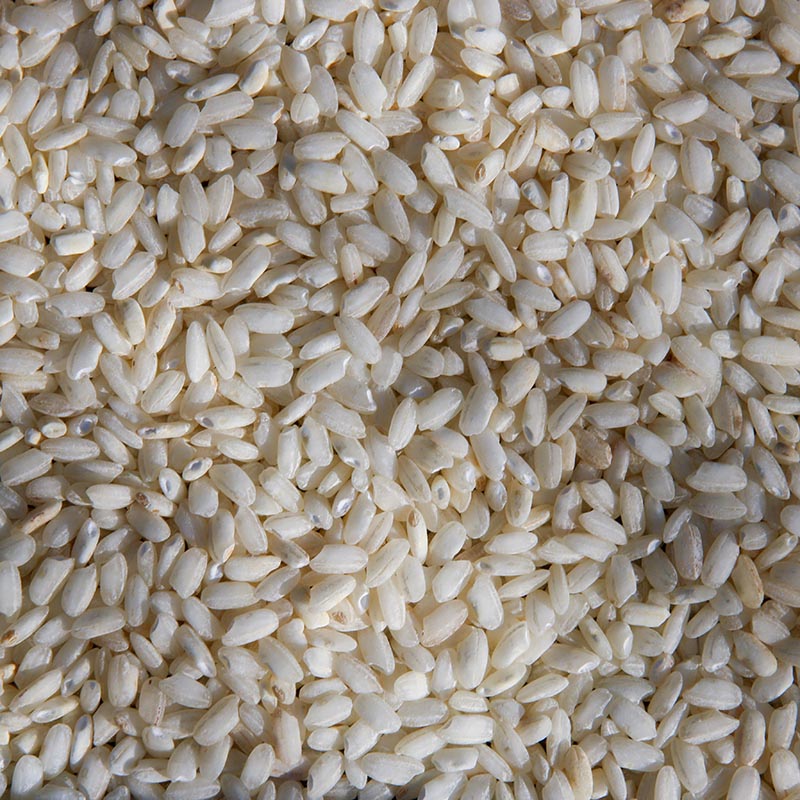 Amazing International Rice Recipes | Something New For Dinner