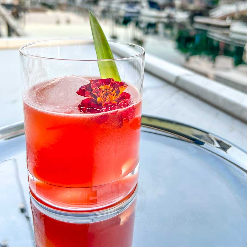 Jungle Bird Cocktail Something New For Dinner